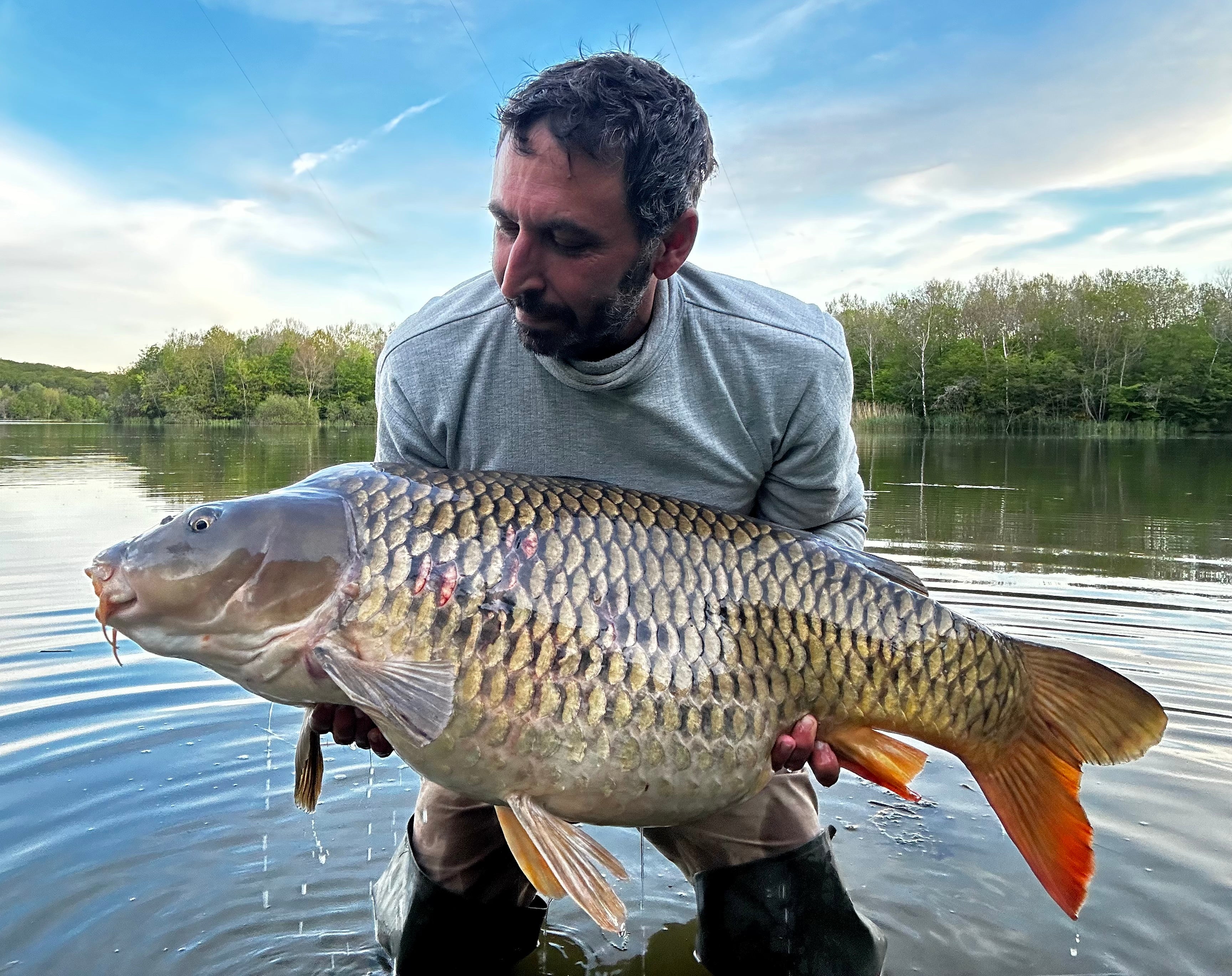 La pêche de la carpe au stick, sacs et fils solubles – ROD OLIVER s.à.r.l